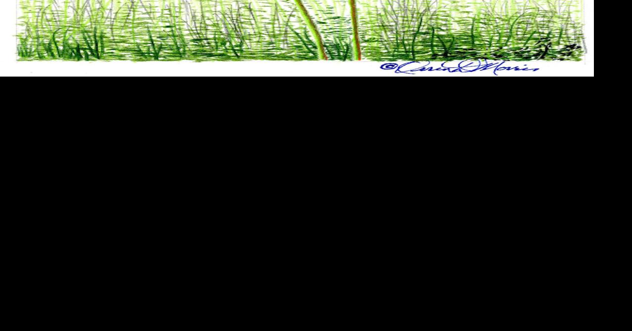 ORRIN MORRIS: Accept the gift of new life through grace | Faith ...