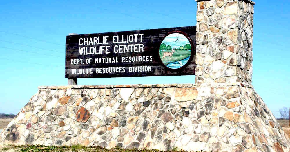 JAKES Day May 20 at Charlie Elliott Wildlife Center | Local News ...