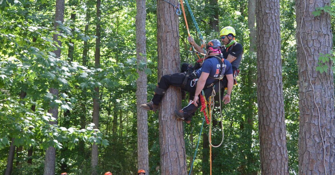 PHOTOS: Arbor Equity holds aerial tree rescue training for Newton ...