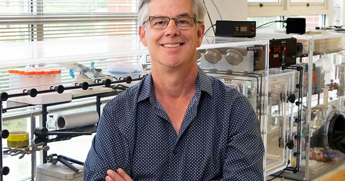 UGA faculty members honored for achievements in science | News ...