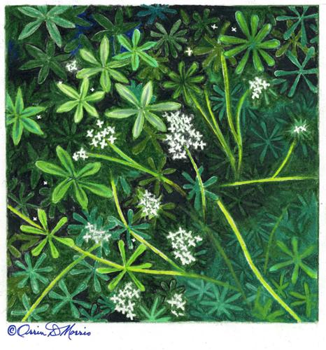 ORRIN MORRIS: The kingdom of God is found in service to others | Faith ...