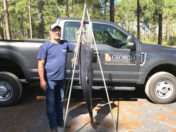New state record blue catfish caught in Stewart County | News ...