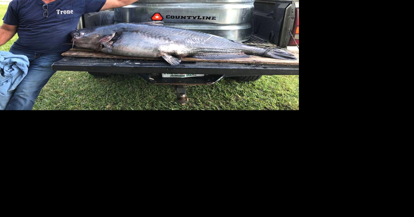 New state record blue catfish caught in Stewart County | News ...