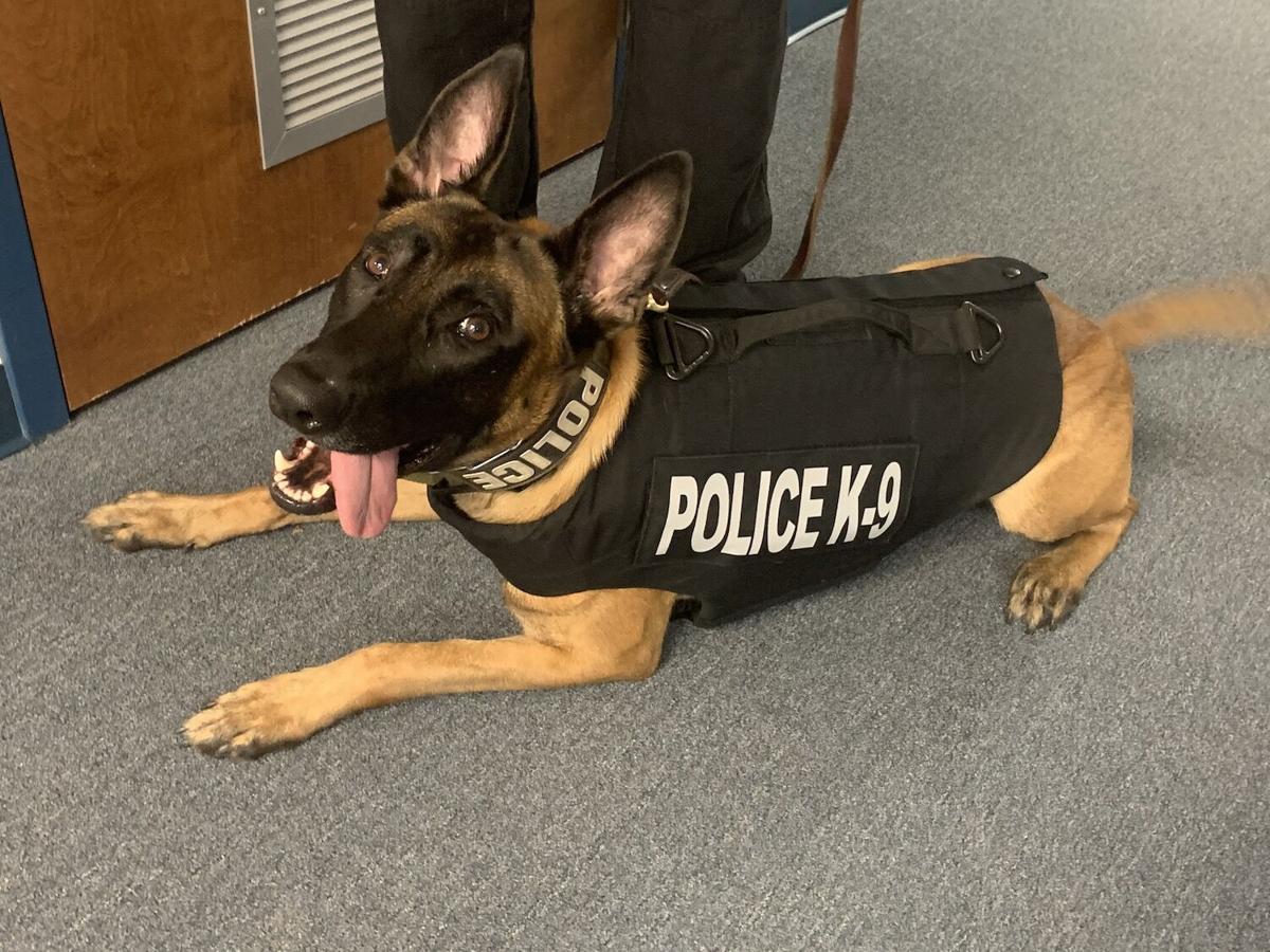 Conyers Police K9 Wick receives body armor | News ...