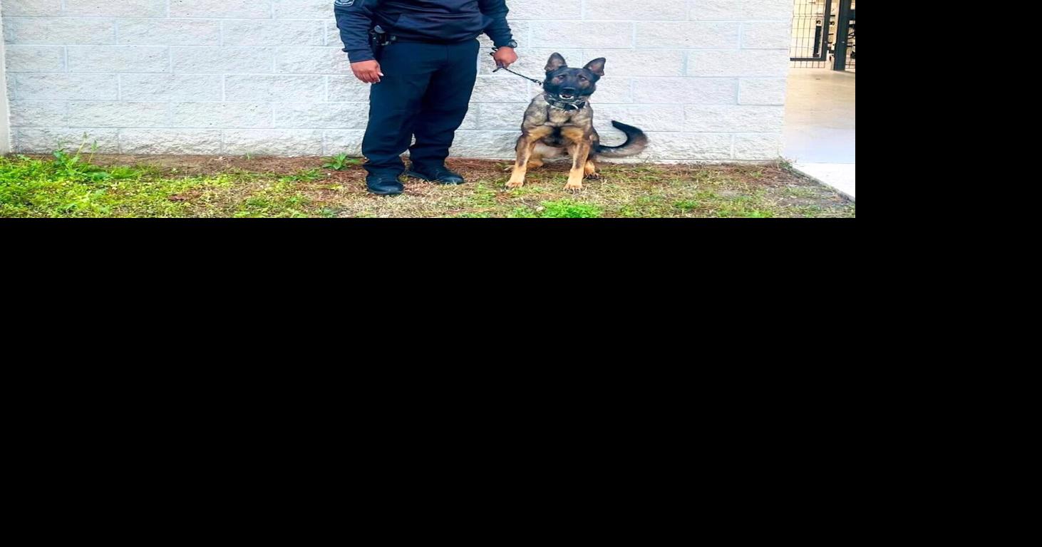 Conyers Police officers complete Explosive Ordnance Detection course ...