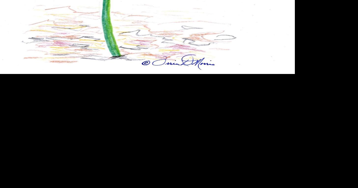 ORRIN MORRIS: Trillium reflects the three-in-one nature of God | Faith ...