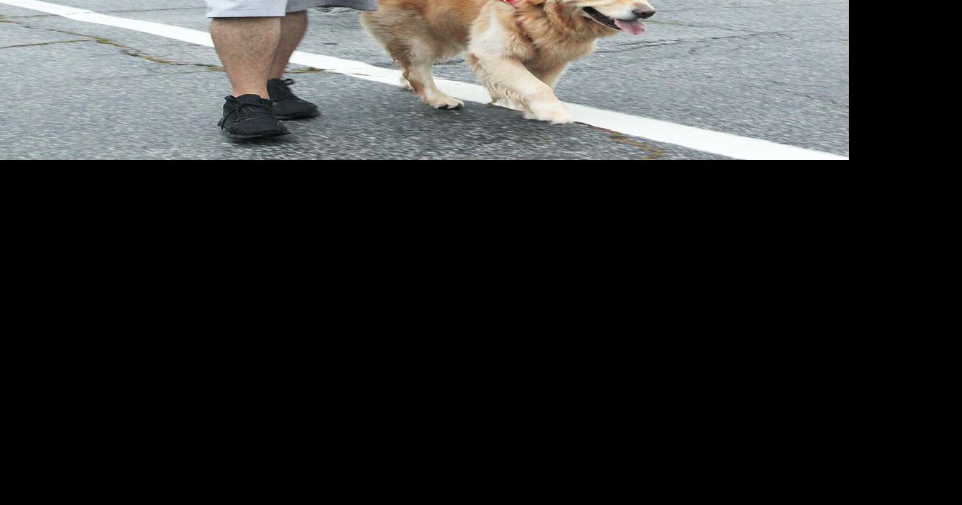 Annual Fuzz Run returns this weekend | | rockdalenewtoncitizen.com