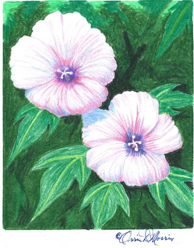 ORRIN MORRIS: ‘Be still’ and find God’s love, joy | Faith ...