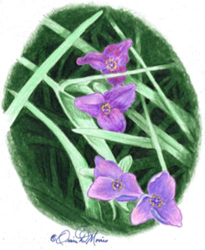 MORRIS: God's creation is full of wonders | Features ...