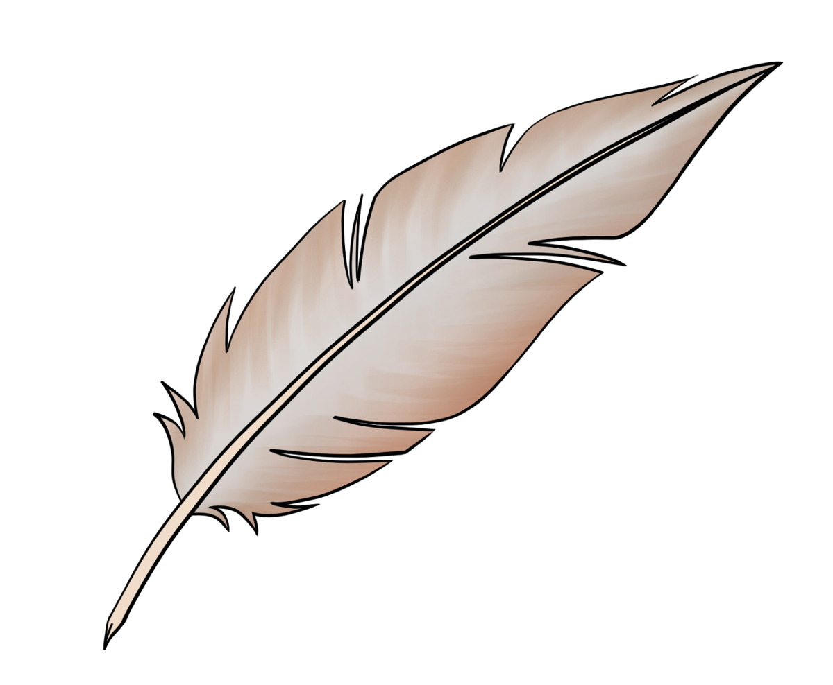 Letter: More muddleheaded ideas | Letters | rockymounttelegram.com