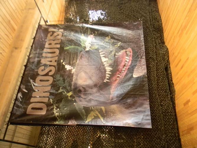 Dinosaurs invade museum | Multimedia | rockymounttelegram.com