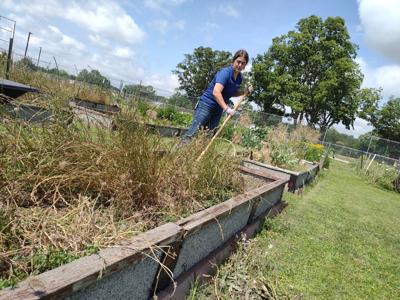 Steps to prepare a new garden plot | Lawn & Garden | rockymounttelegram.com