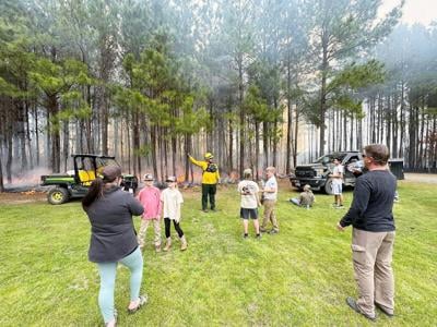 Working the forests through the trees: Early career as a ranger has ...