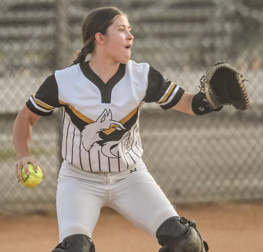 NECP baseball, softball reach tourney title games | High Schools ...