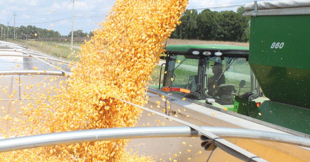 Jamie Carlson: Grains help us think, move and grow | Feature Columnist ...