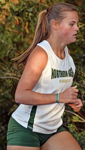 Nash Central's Brown, Northern Nash boys win Big East cross country ...