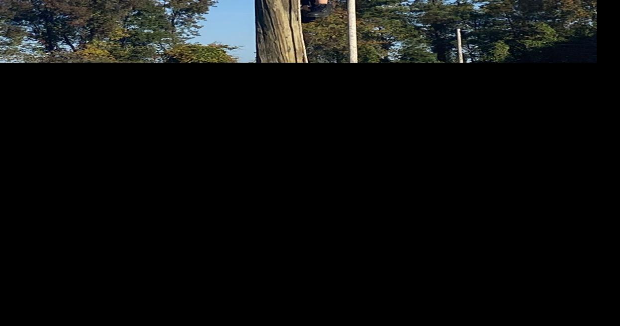 NCC alumni dominate rescue competition | Feature Story ...