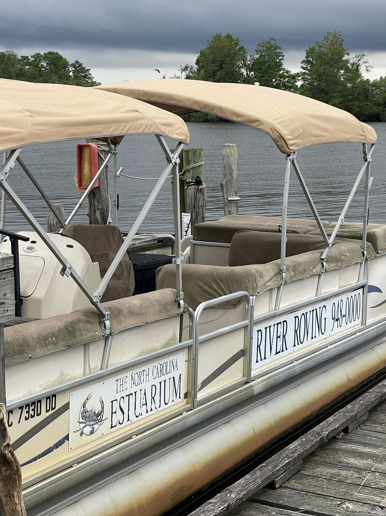 A Gem on the Inner Banks: The NC Estuarium is a place to visit for ...