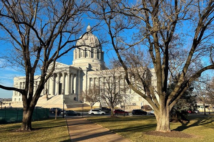 Missouri's new US House map goes to court while Louisiana and South ...