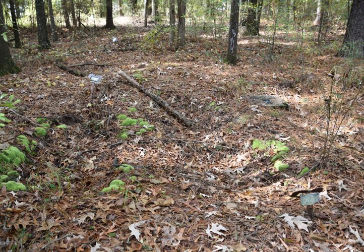 Rundown cemetery sparks debate | Local News | rockymounttelegram.com