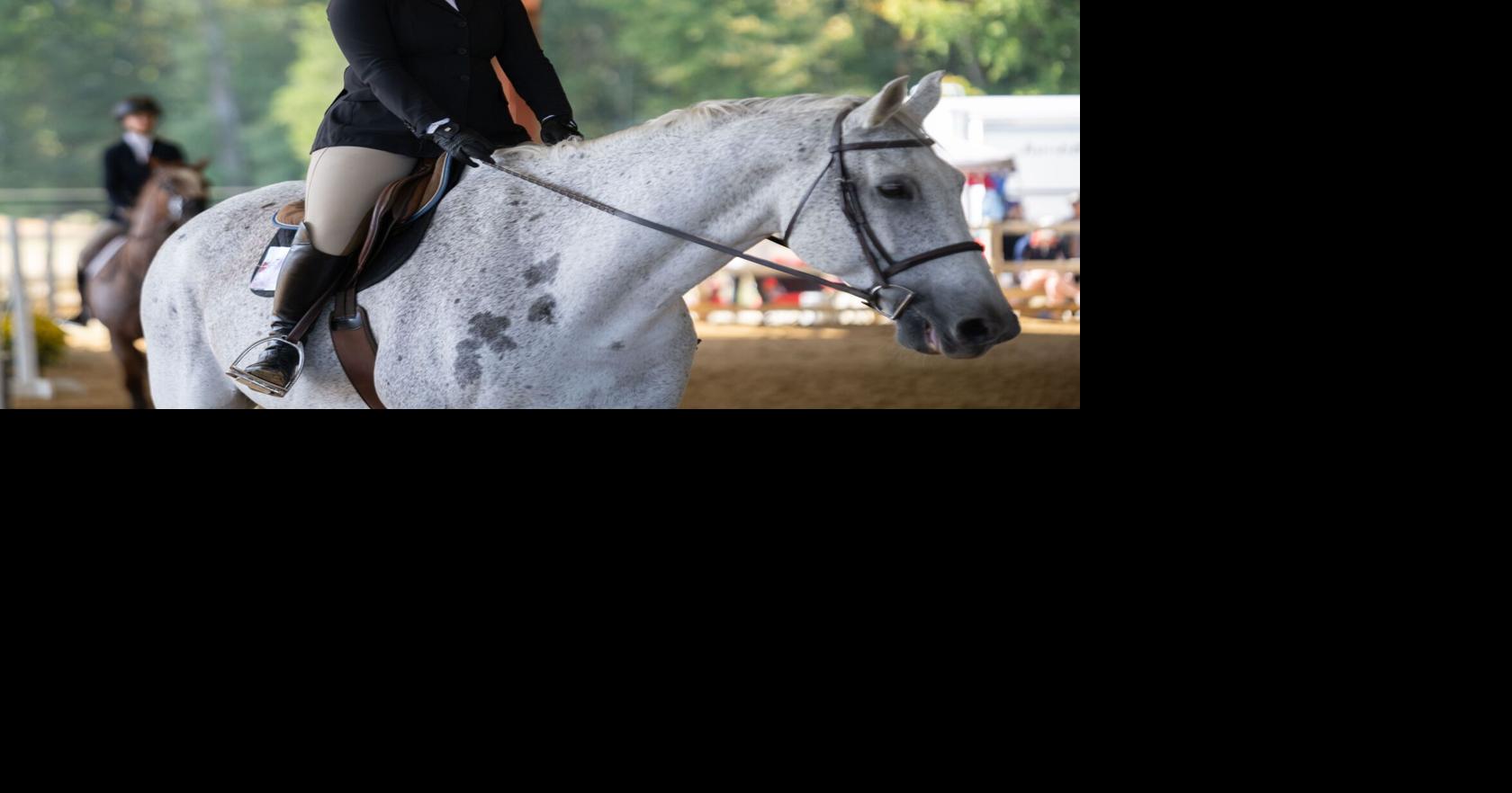 Local teen to compete in equestrian finals | School News ...