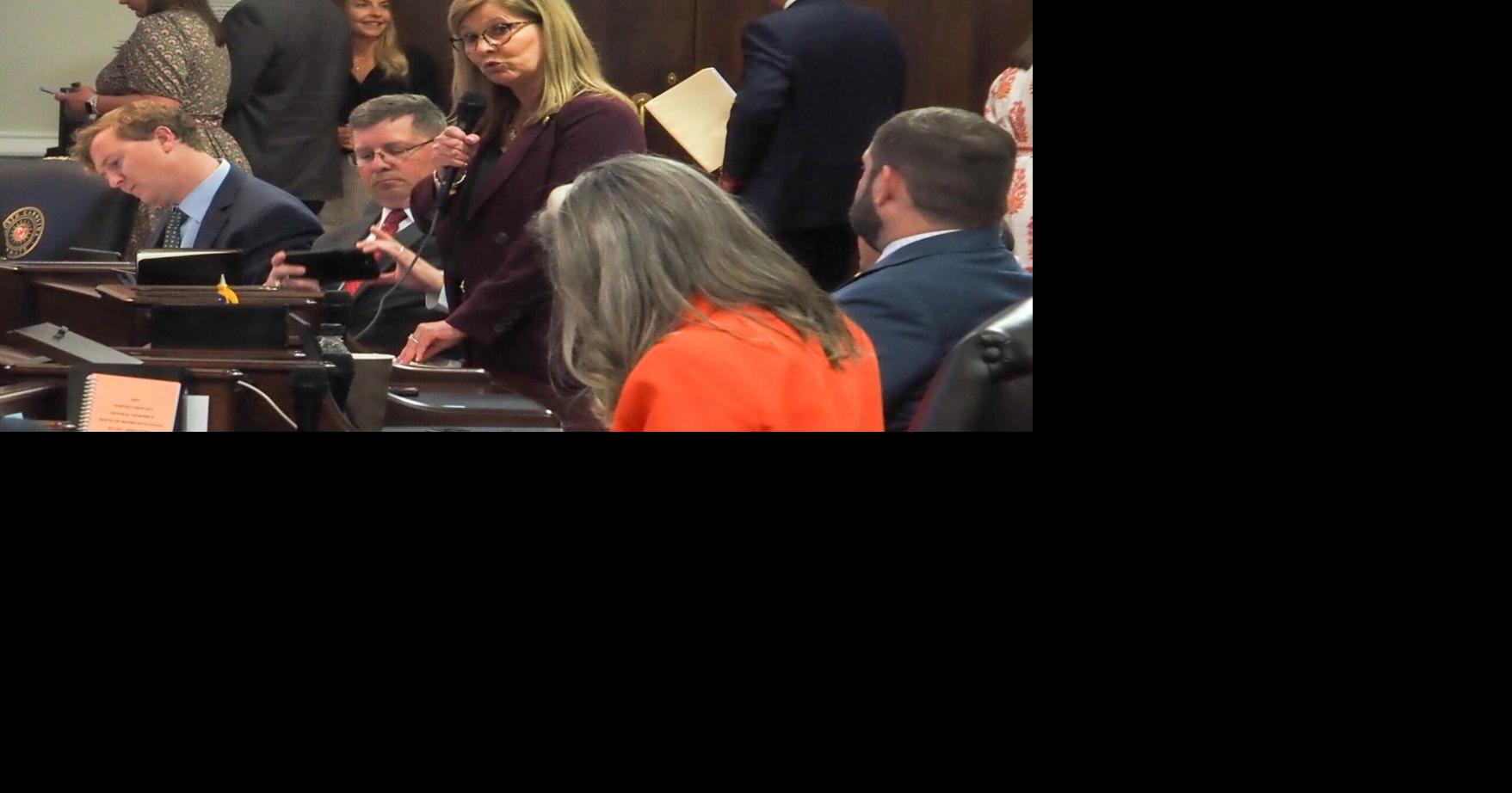 Social media ban for children nears approval in state legislature ...