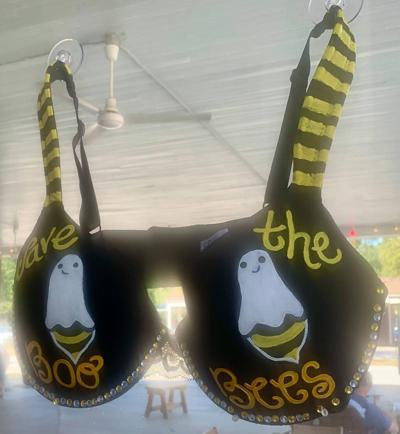 Bra decorating contest to boost cancer foundation | Local News ...