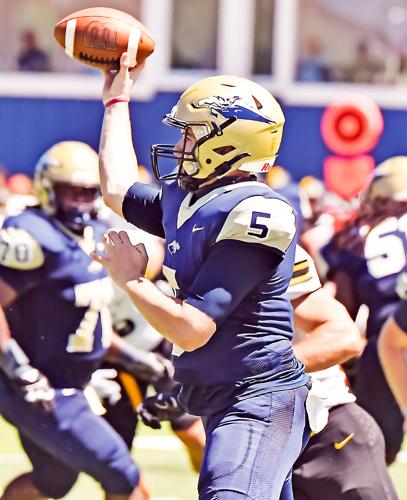 COLLEGE FOOTBALL: Bishops suffer stinging loss in opener | College ...