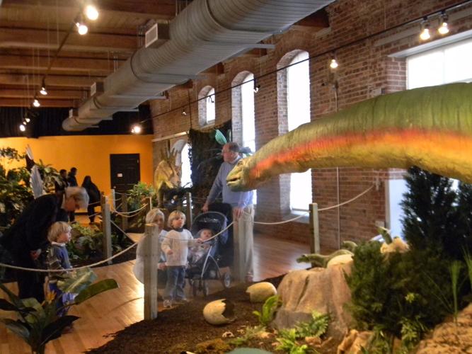 Dinosaurs invade museum | Multimedia | rockymounttelegram.com