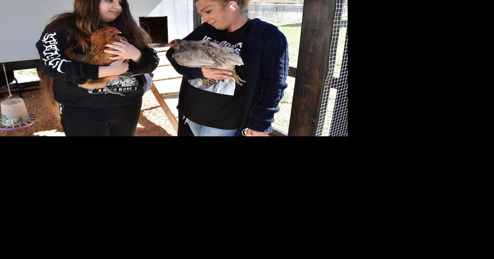 Family seeks to keep their chickens | Local News | rockymounttelegram.com