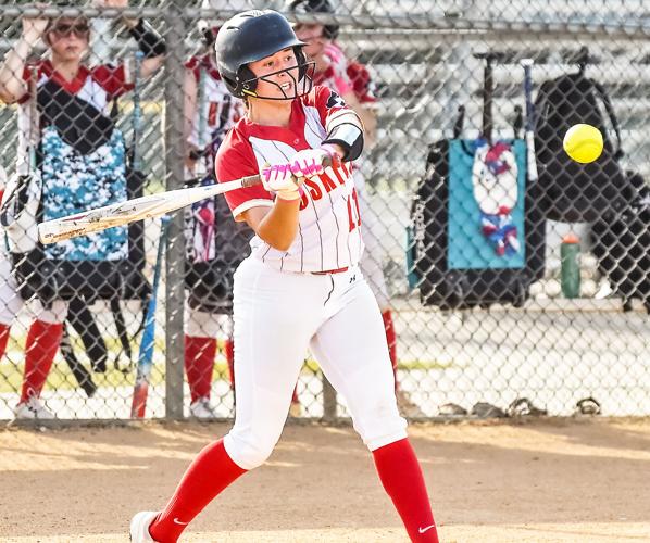 NECP lands 18 baseball, softball players on all-conference teams | High ...