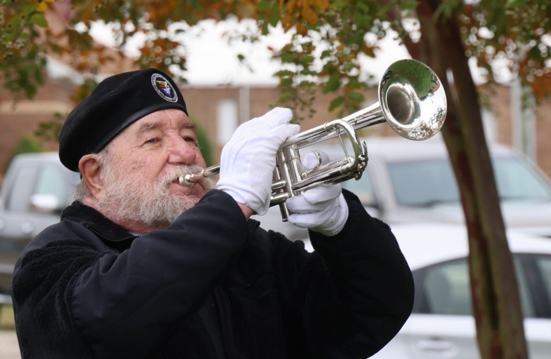 Davis to speak at Veterans Day ceremony at Jack Laughery Park | Local ...