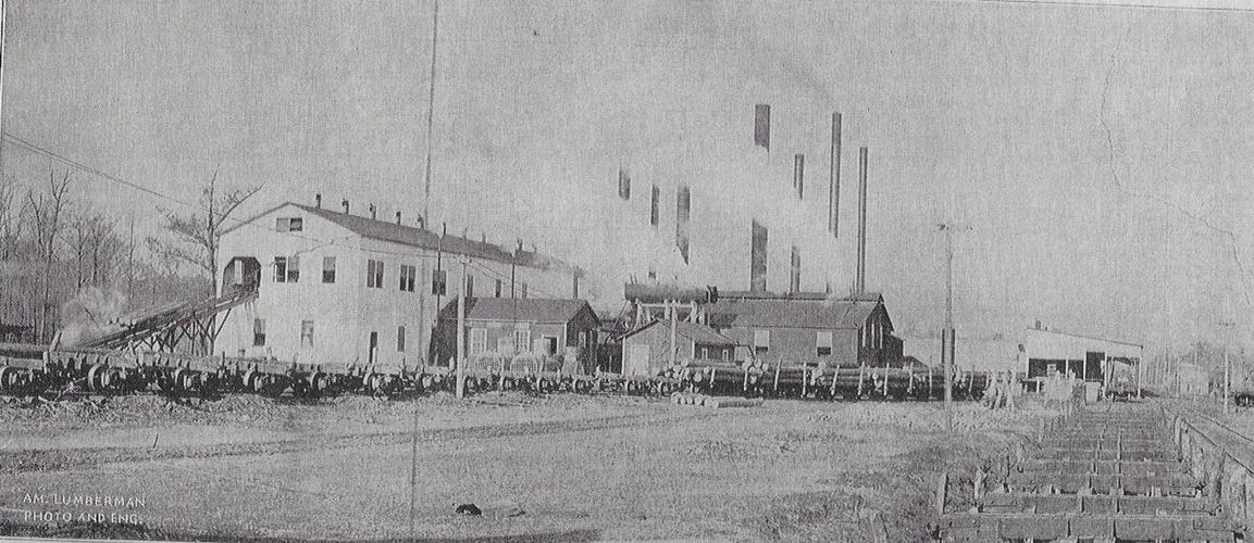 Green 'gold rush' shaped Albemarle logging industry | State ...