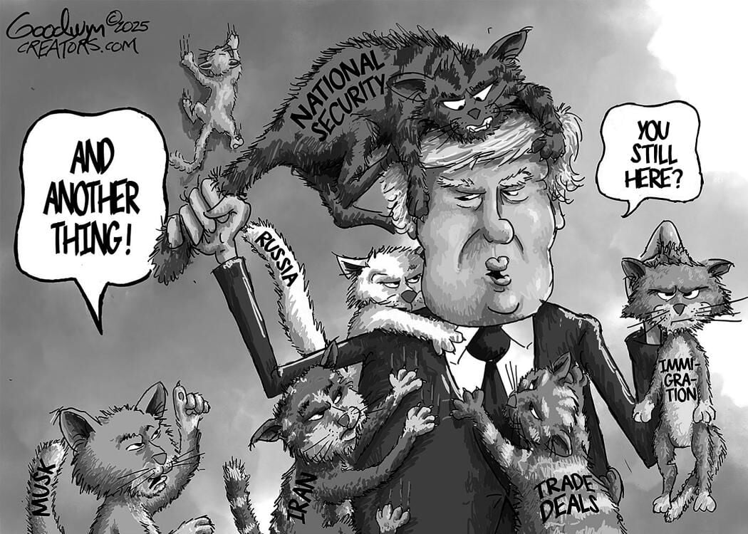 Editorial - Cartoon - Cats | Local | rockymounttelegram.com