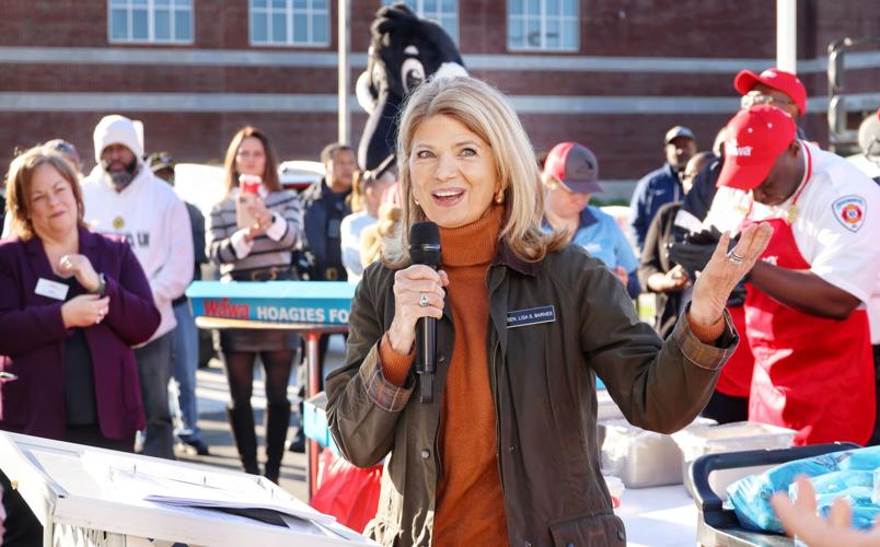 Barnes, Mercer face off in spirited NC Senate contest | Local News ...