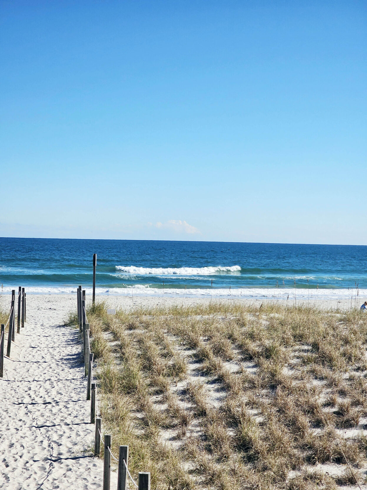 Topsail Island takes the crab cake when it comes to beach days ...