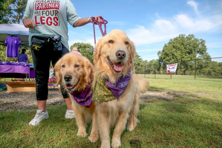 Annual Bark for Life aims to raise cancer-fighting funds | Local News ...