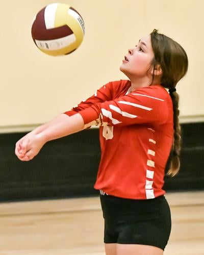 Young NECP spikers fall to Gators | High Schools | rockymounttelegram.com