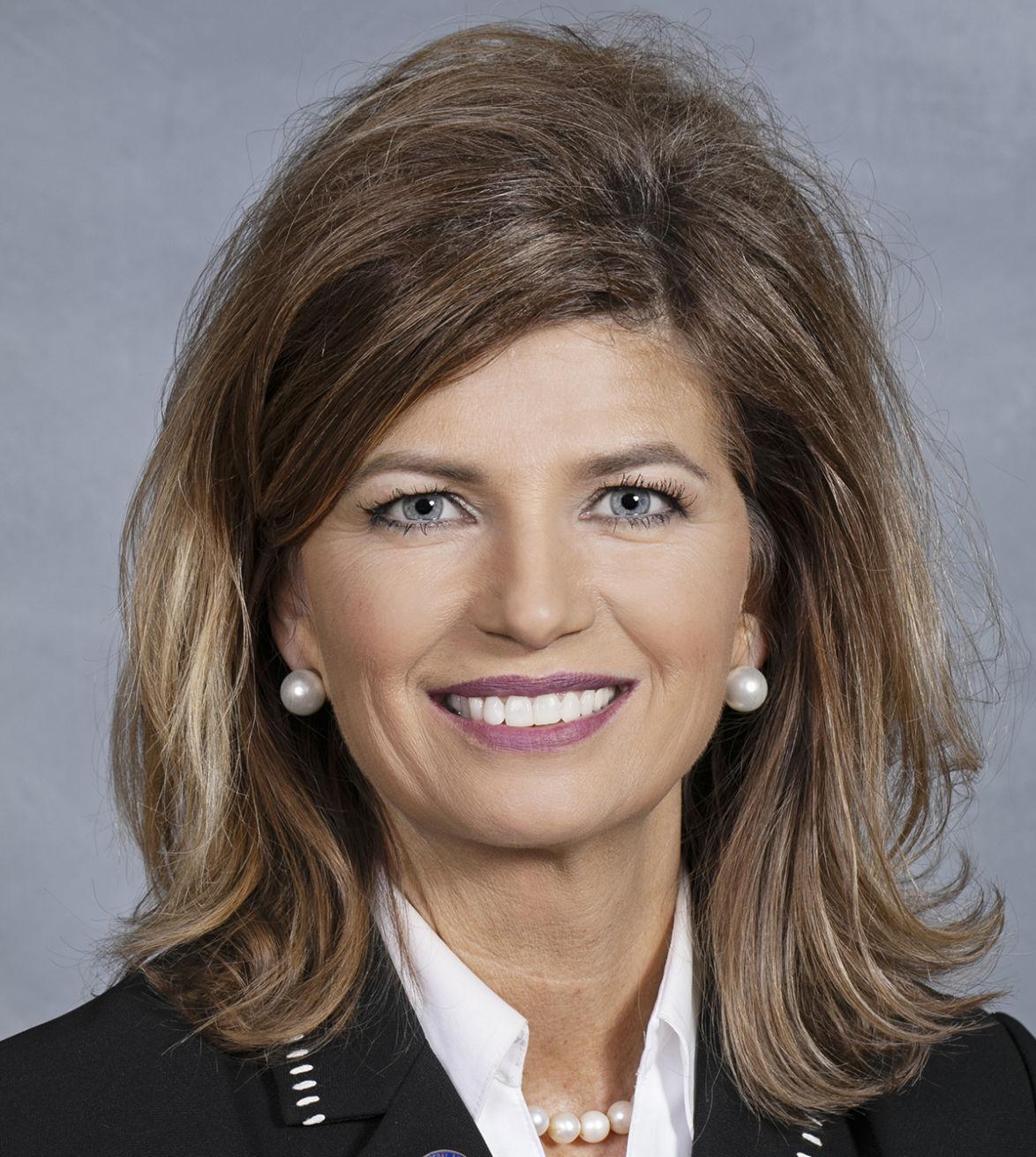 Two vie for open state Senate seat | Local News | rockymounttelegram.com