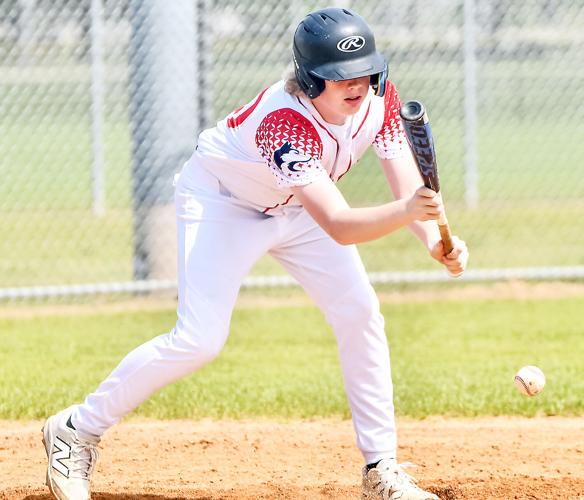 NECP baseball, softball reach tourney title games | High Schools ...