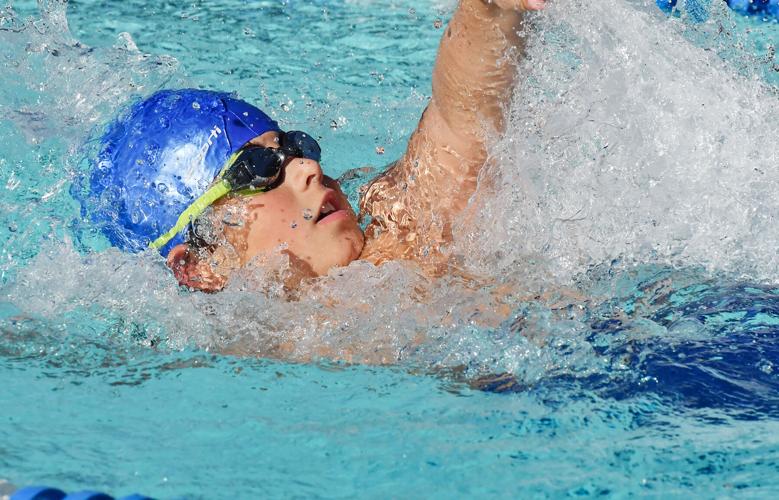 Nash Rec Sharks fall to Roanoke Valley in summer swim meet | Local ...