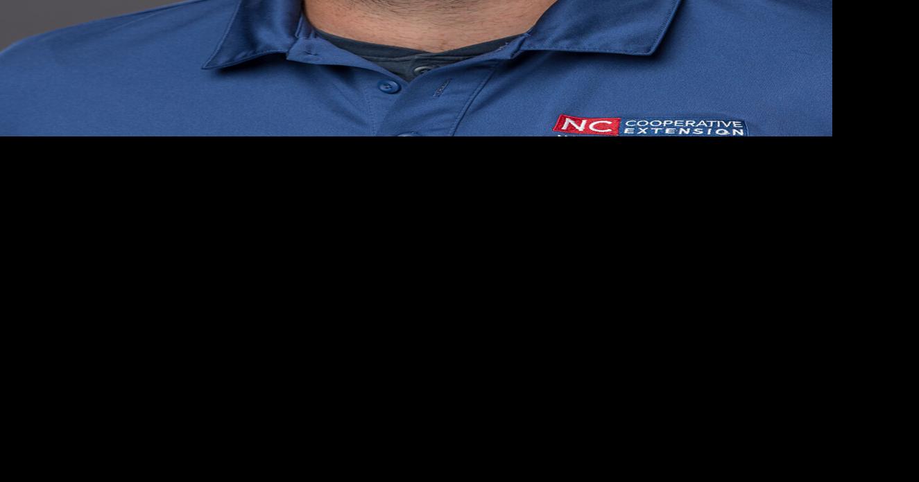 Matthew Stevens: Juniper can fill many landscape roles | Feature ...