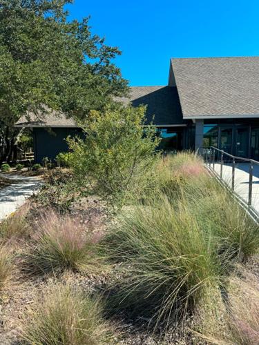 NC state parks to celebrate new native plants policy | State ...