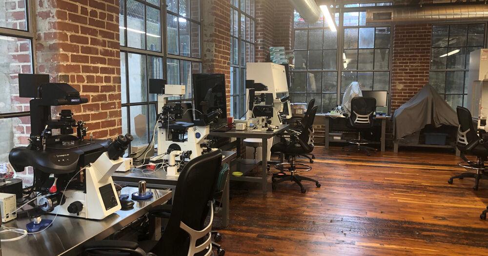 New certificate program offers future embryologists a pathway into ...