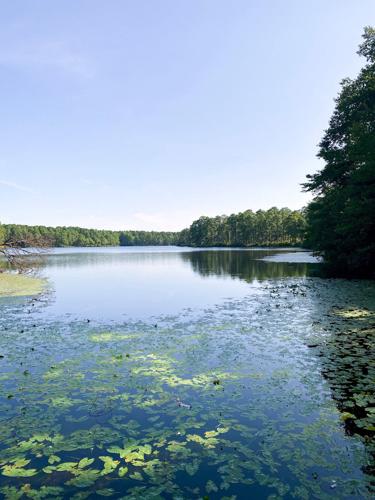 Southern Pines is a quintessential southern town | Feature Story ...