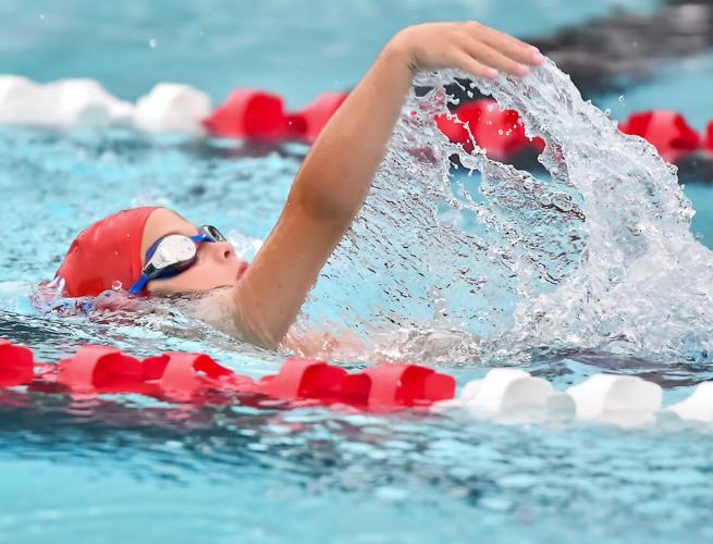 SUMMER SWIMMING: TSC Marlins reign over Brook Valley | Local Sports ...