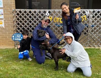 Pet adoption event set for Saturday at NCC | School News ...