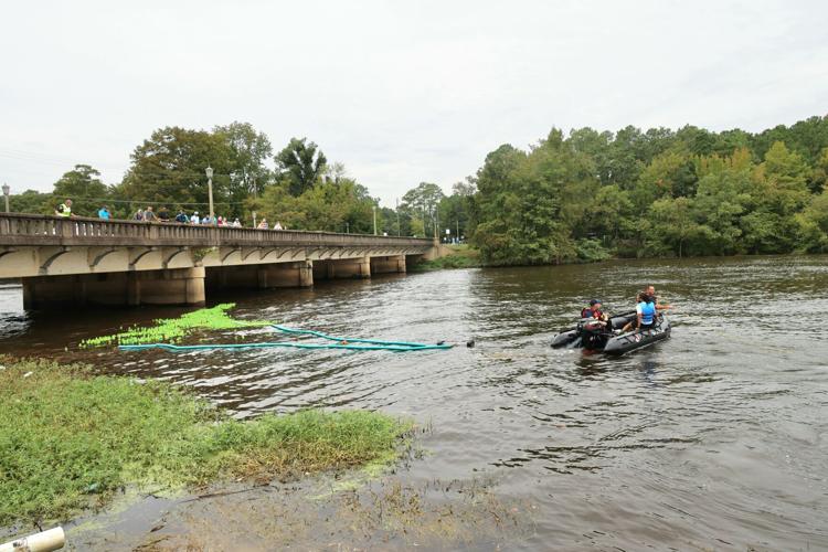 Fifth annual turtle race raises funds for regional Boys and Girls Clubs ...