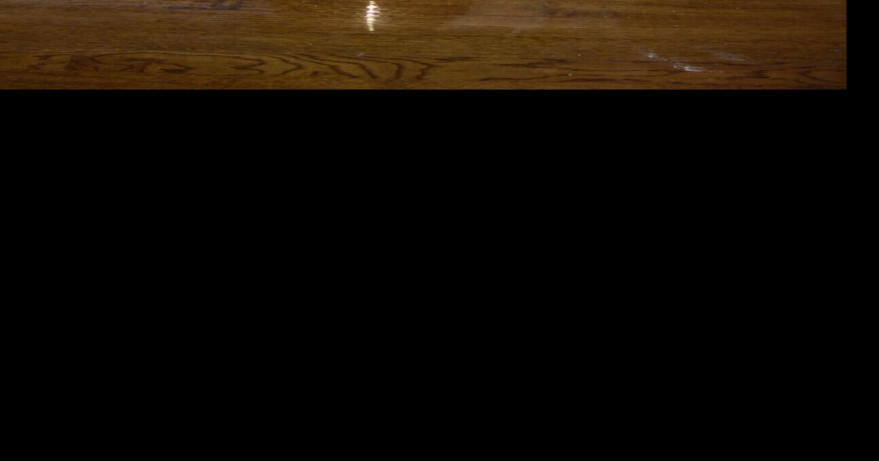 Mystery Plant: Growing an avocado plant from a seed is rather simple ...