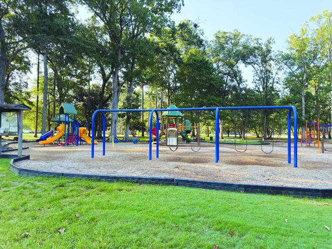 Children, parents and the young at heart at home in Herman Park | State ...